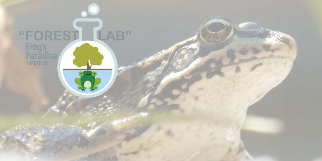 FROG’S PARADISE | Interpreta Natura